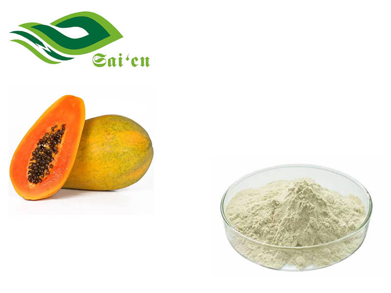 Papain Powder - Shanxi Saien Biotechnology Co., Ltd.